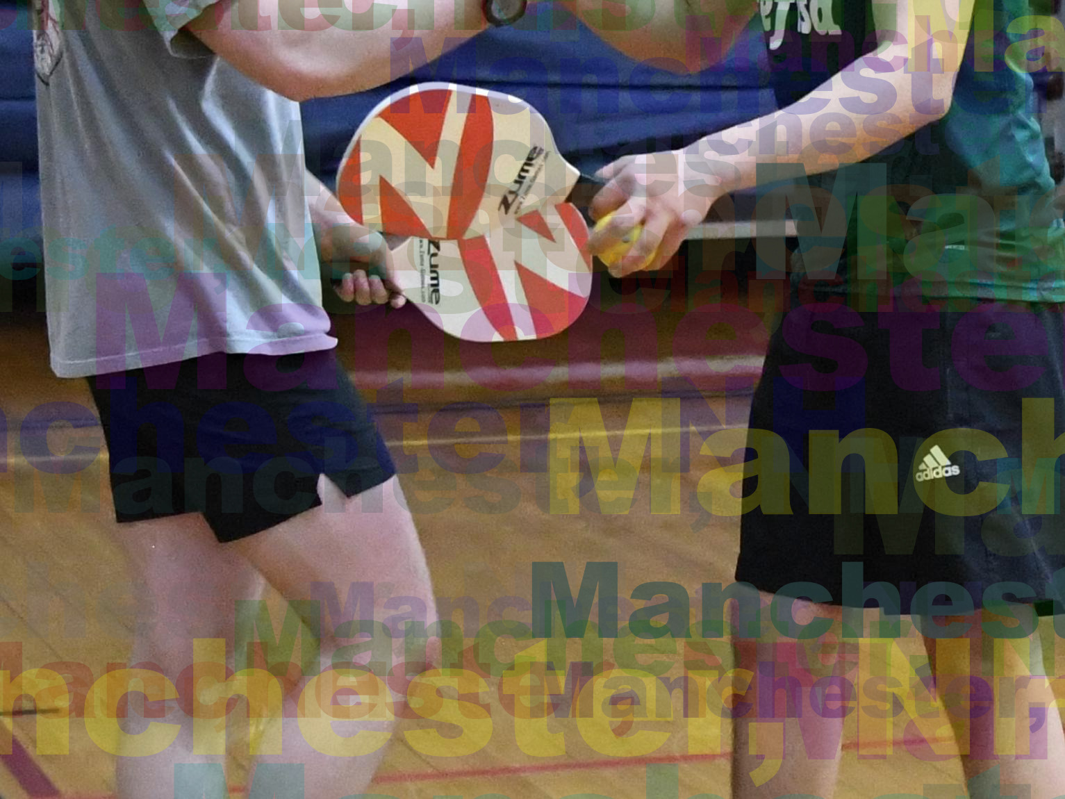 Manchester NH Pickleball - Courts Near You